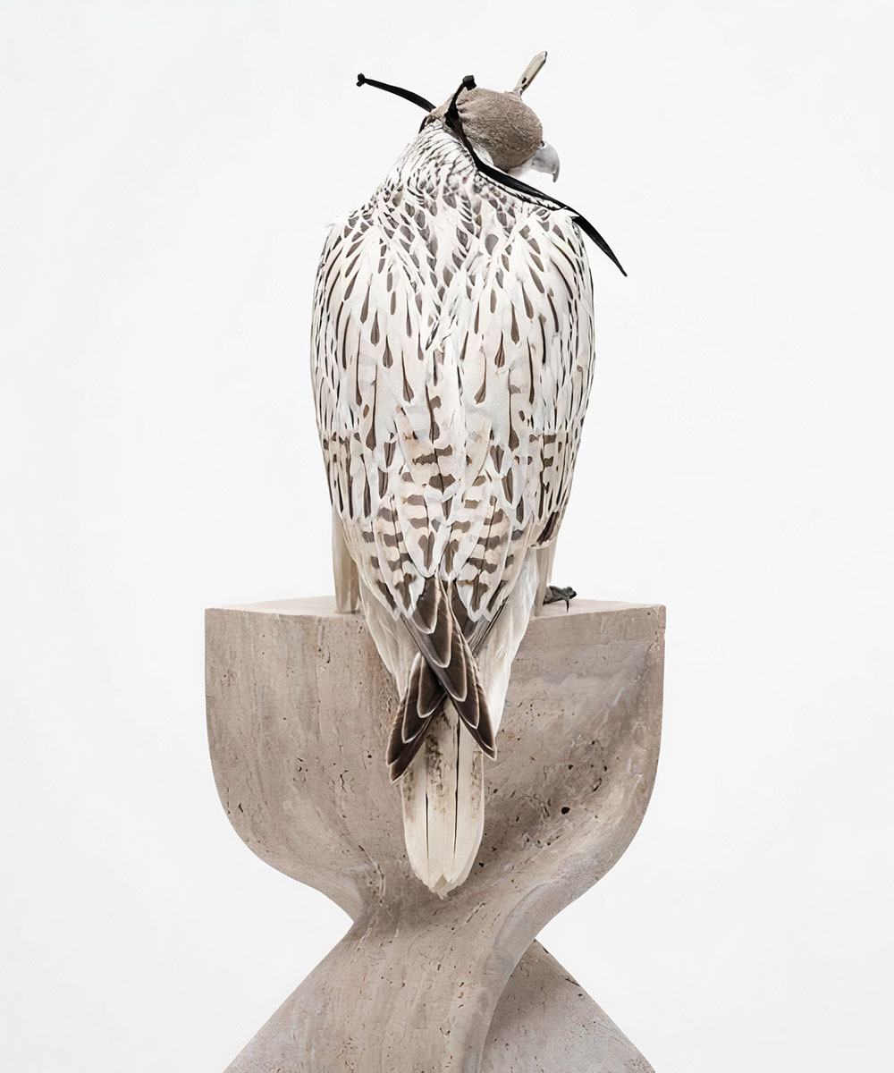 MONARCH Handmade Hawk Painting | Mente Art Gallery